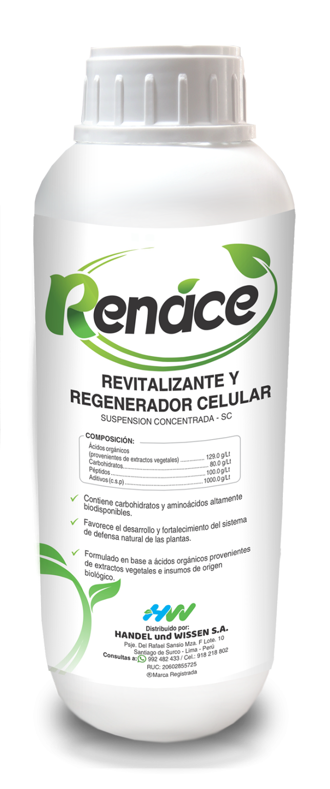 RENACE